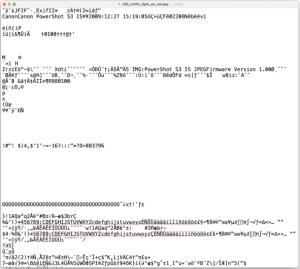 Unleashing the Potential: A Deep Dive into PyTorch's TorchVision ...